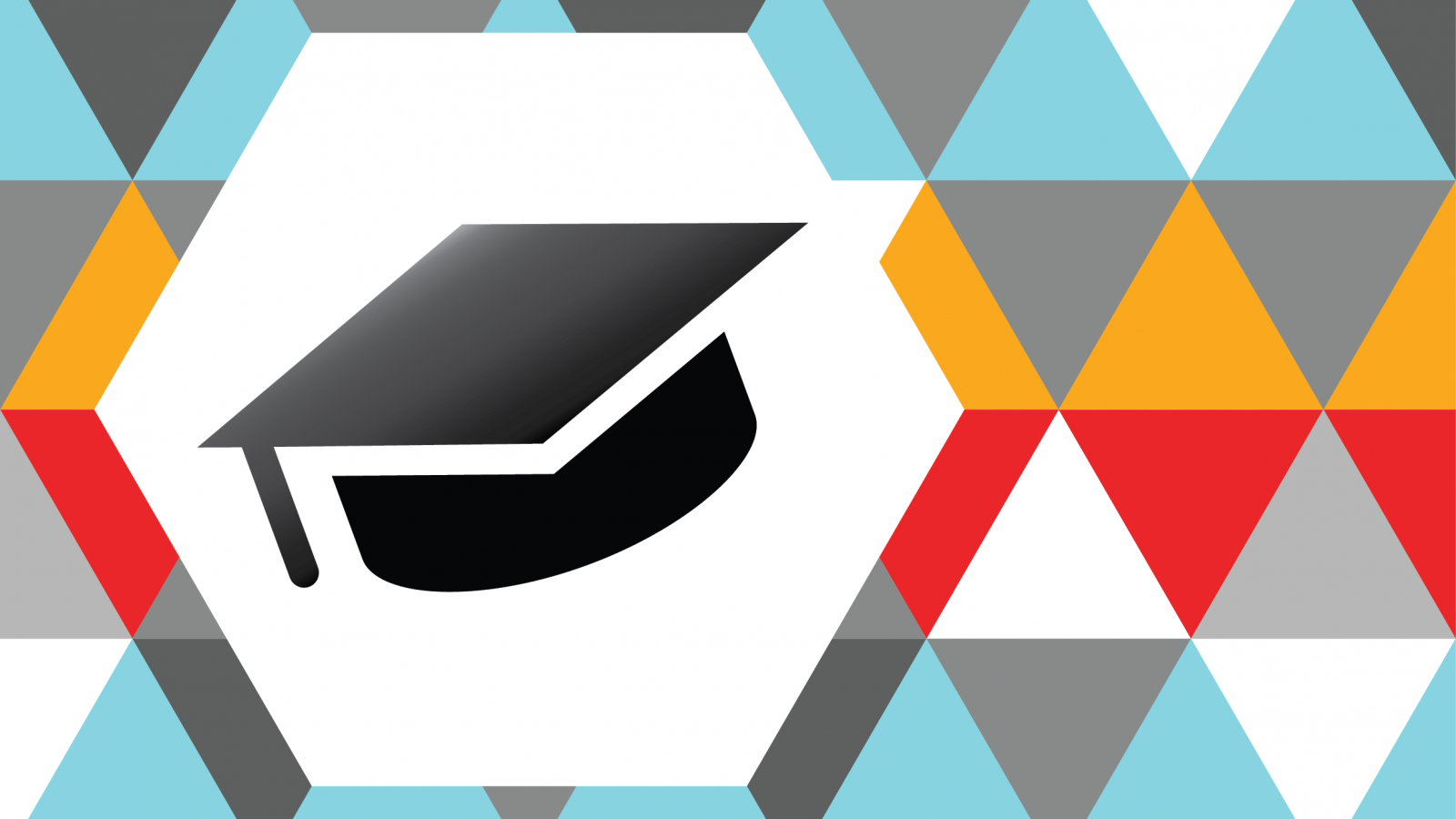 Scholar Program 2021 – the Canadian Open Neuroscience Platform