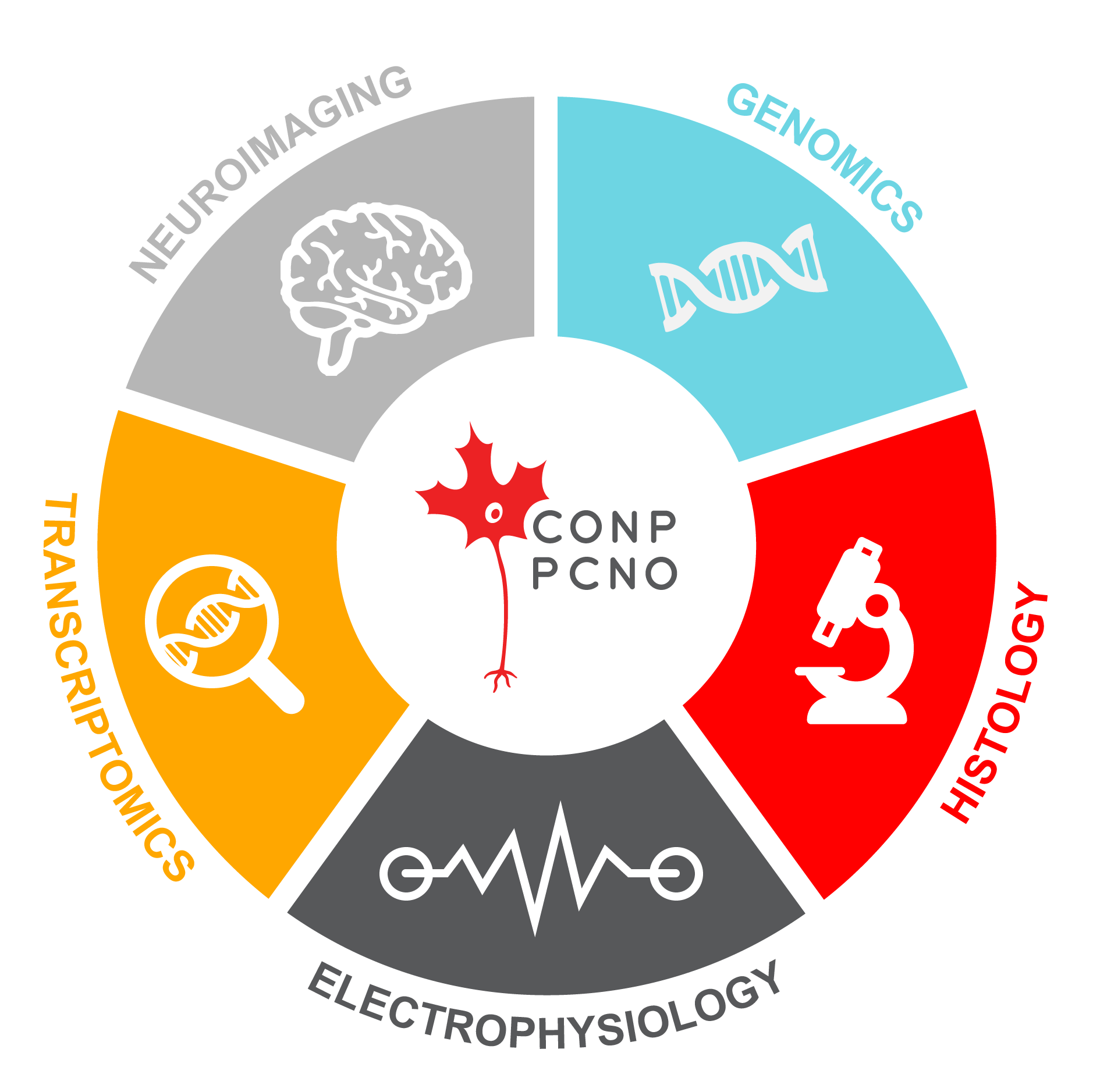 CONP Portal - the Canadian Open Neuroscience Platform